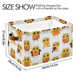 Fall Owls Thanksgiving Storage Basket Bins Decorative Toy Laundry Basket Organization with Handles for Bedroom Office Clothes Pet Nursery Living Room,2 pcs