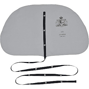 BG(0002698761) BG-A30 Instrument Swab for Alto Sax, Saxophone Cleaning and Care Product (A31)