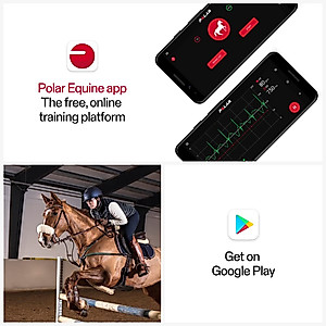 POLAR Equine H10 Heart Rate Sensor for Riding