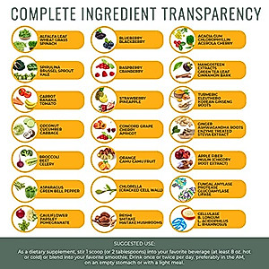 Primal Harvest Super Greens Powder, 30 Servings w/+50 Greens Superfood Chlorella, Probiotics, Green Tea, Wheatgrass, Kale, Turmeric, Green Superfood Powder for Energy - Primal Greens Green Powder