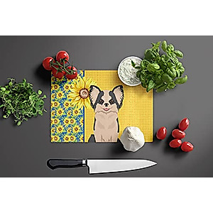 Caroline's Treasures WDK5362LCB Summer Sunflowers Longhaired Black and White #2 Chihuahua Glass Cutting Board Large Decorative Tempered Glass Kitchen Cutting and Serving Board Large Size Chopping Boar