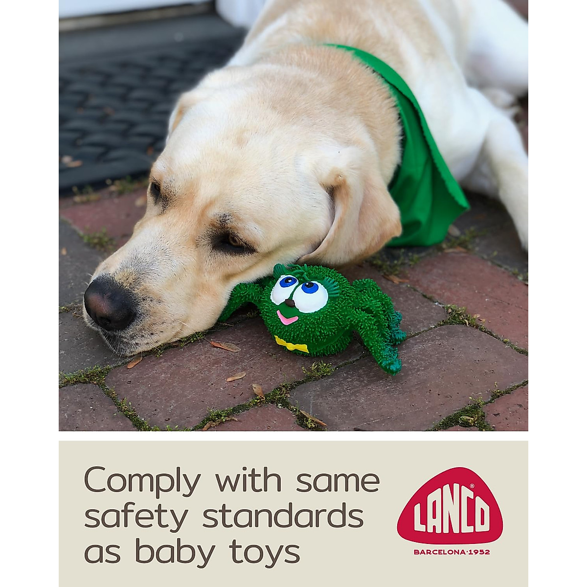 Sensory Spider - Squeaky Dog Toys - Medium Breeds - Natural Rubber/Latex - Comply with Same Safety Standards as Baby Toys