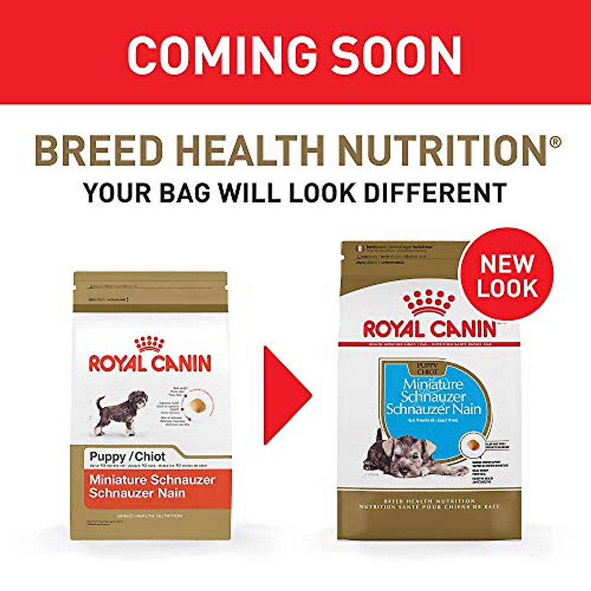 Royal Canin Breed Health Nutrition Miniature Schnauzer Puppy Dry Dog Food, 2.5 lb