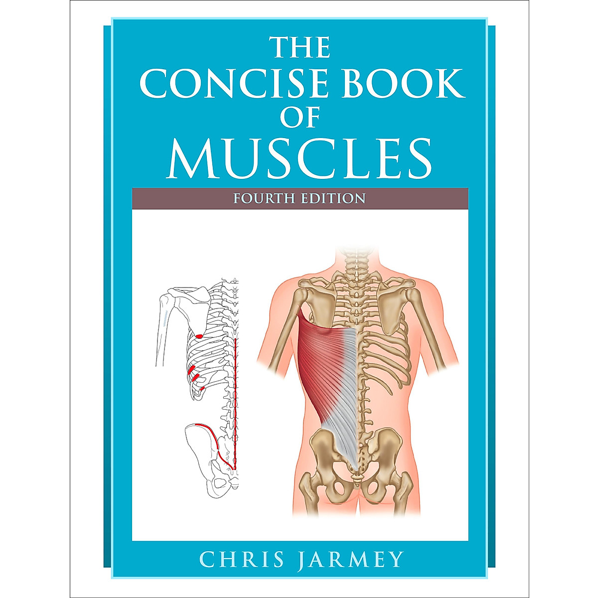 The Concise Book of Muscles, Fourth Edition