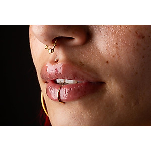 Pierced Owl 16G Implant Grade Titanium Rectangular Baguette CZ Crystal Lined Hoop Cartilage Helix Daith Rook Conch Hinged Segment Ring (Silver Tone, Diameter: 10mm)