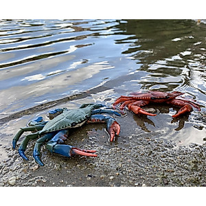 Gemini&Genius 2Pcs Crabs Marine Animal World Sea Animal Action Figure Ocean Model Toy Educational, Role Play, Cake Toppers, Swimming Toys, Bath Toys, Christmas Stocking Stuffers for Kids