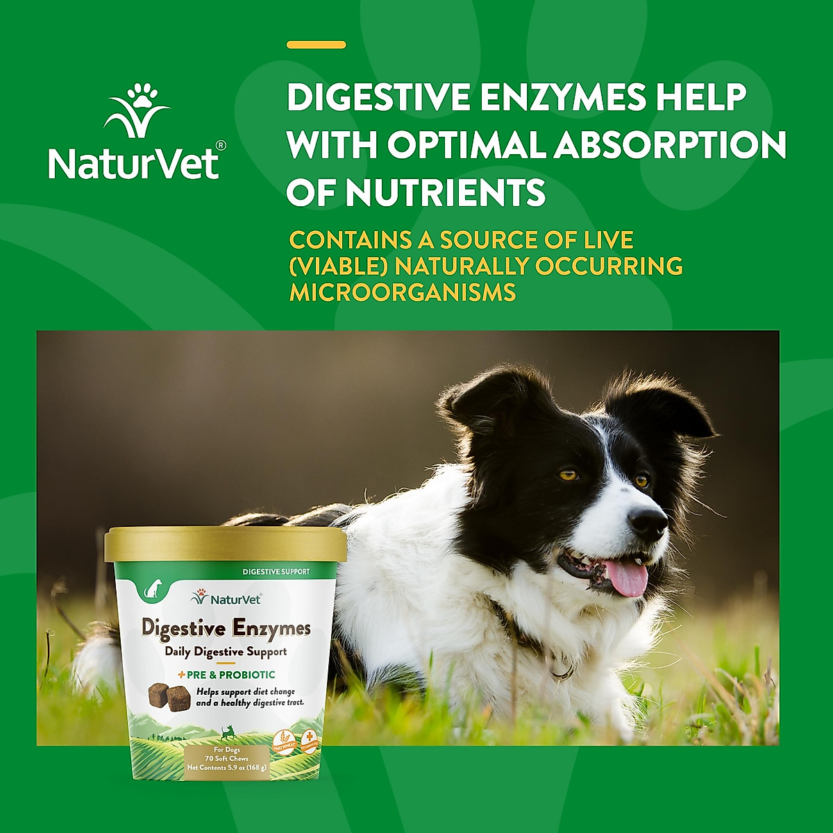 NaturVet Advanced Probiotics and Enzymes Supplement Digestive Enzymes - Plus Probiotics & Prebiotics Soft Chews, 70 Count Made in The USA with Globally Source Ingredients 70 Soft Chews