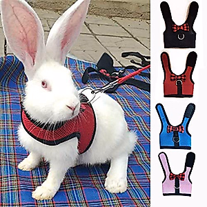 sonicbee Multipurpose Rabbits Hamster Vest Harness with Leash Bunny Mesh Chest Strap Harnesses Ferret Guinea Pig Small Animals Pet Accessories (L, Blue)