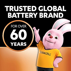 Duracell Alkaline D Batteries 2 Count