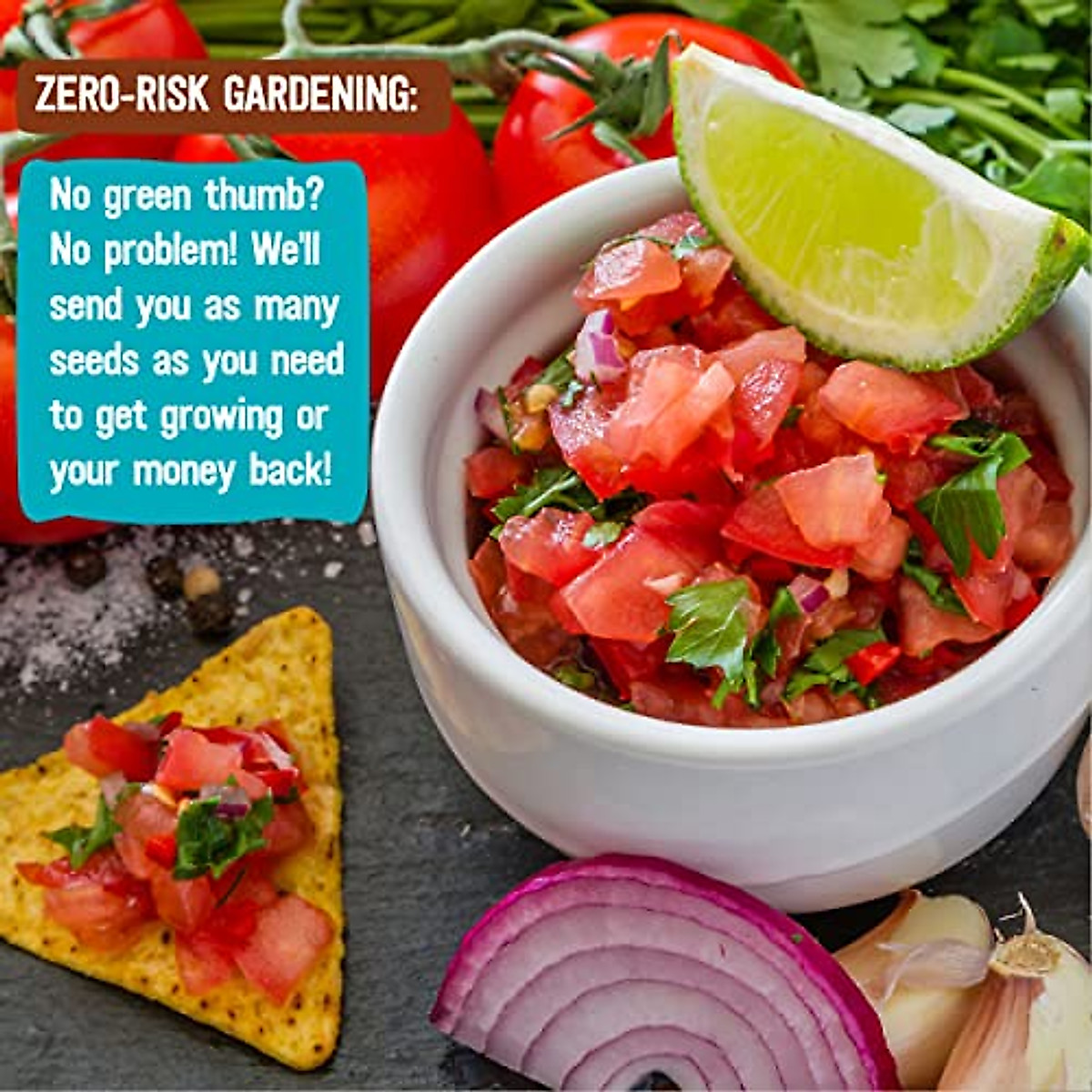 Back to the Roots Organic Seed Bundle - Herbs and Vegetables Variety Pack for Planting - Assorted Non-GMO Seed Mix for Beginner Indoor and Outdoor Gardening, 10-Pack