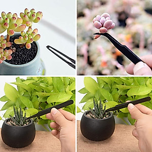 BUDDE Bonsai Tree Kit Tools Set Succulent 21 PCS Garden Hand Tool Include Pruning Shears, Carbon Steel Scissors, Perfect Starter Gardening Trimming Tools(pink), (A2ZJYYPJGJpink)