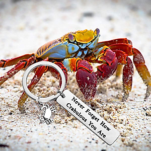 ENSIANTH Crab Keychain Crab Lover Gift Never Forget How Crabulous You are Keychain Crab Jewelry for BFF Traveler Gift (never Crab Key)