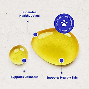 WONDER PAWS Organic Hemp Oil for Dogs – 9,000 mg of Hemp Oil with Alaskan Salmon Oil & Omega 3 Fatty Acids - Hemp for Pets, Joint Health, Anxiety Relief, Calming, Skin & Immune – 60 ml Hemp Oil Drops