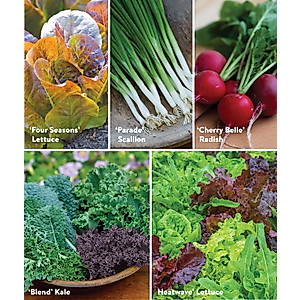 Burpee Salad Garden Collection 10 Packets of Non-GMO 4 Lettuce Varieties Tomato, Radish, Spinach, Kale, Scallions & Mesclun Mix | Seeds for Planting Vegetables