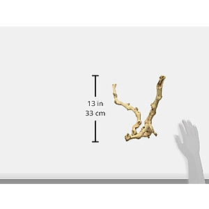 Zoo Med Sandblasted Grapevine, Medium, 12-Inch