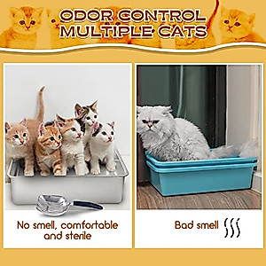 2 Set Stainless Steel Litter Box for Cat with 2 Pcs Cat Litter Scoops 15 Pcs Non Slip Rubber Feet Non Stick Smooth Bunny Litter Box High Sided Litter Box Litter Scooper with Holder (24 x 16 x 8 In)