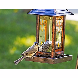 Wagner's 62028 Striped Sunflower Seed Wild Bird Food, 5-Pound Bag