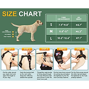 Virbraroo Dog Leg Brace for Torn Acl Hind Leg,8X Support Dog Knee Brace with Metal Strips for Joint Pain Relief, Rear Leg Brace with Adjustable Traction Belt for Cruciate Ligament Injury (L)