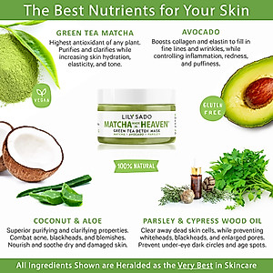 LILY SADO Green Tea Matcha & Avocado Face Mask - Organic Natural Vegan Facial Mask - Anti-Aging Antioxidant Defense Against Acne, Blackheads & Wrinkles for a Soft Glowing Complexion – 4 oz