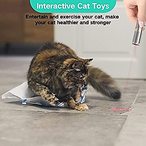 HEYPOMAX Cat Laser Toy, Cat Toys for Indoor, Laser Pointer Cat Toy, Laser Pointer for Cat and Dogs Chase Play, Keep Cat Busy Burning Fatus, USB Charging, 5 Switchable Patterns