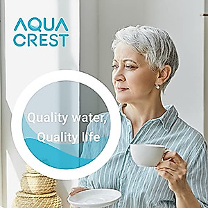 AQUACREST TÜV SÜD Certified Coffee-Machine Water Filter Replacement for Krups F088 Filter, XP5220, XP5240, EA82 and EA9000-Including Various Models of AEG®, Bosch®, Siemens®, Gaggenau® (Pack of 2)
