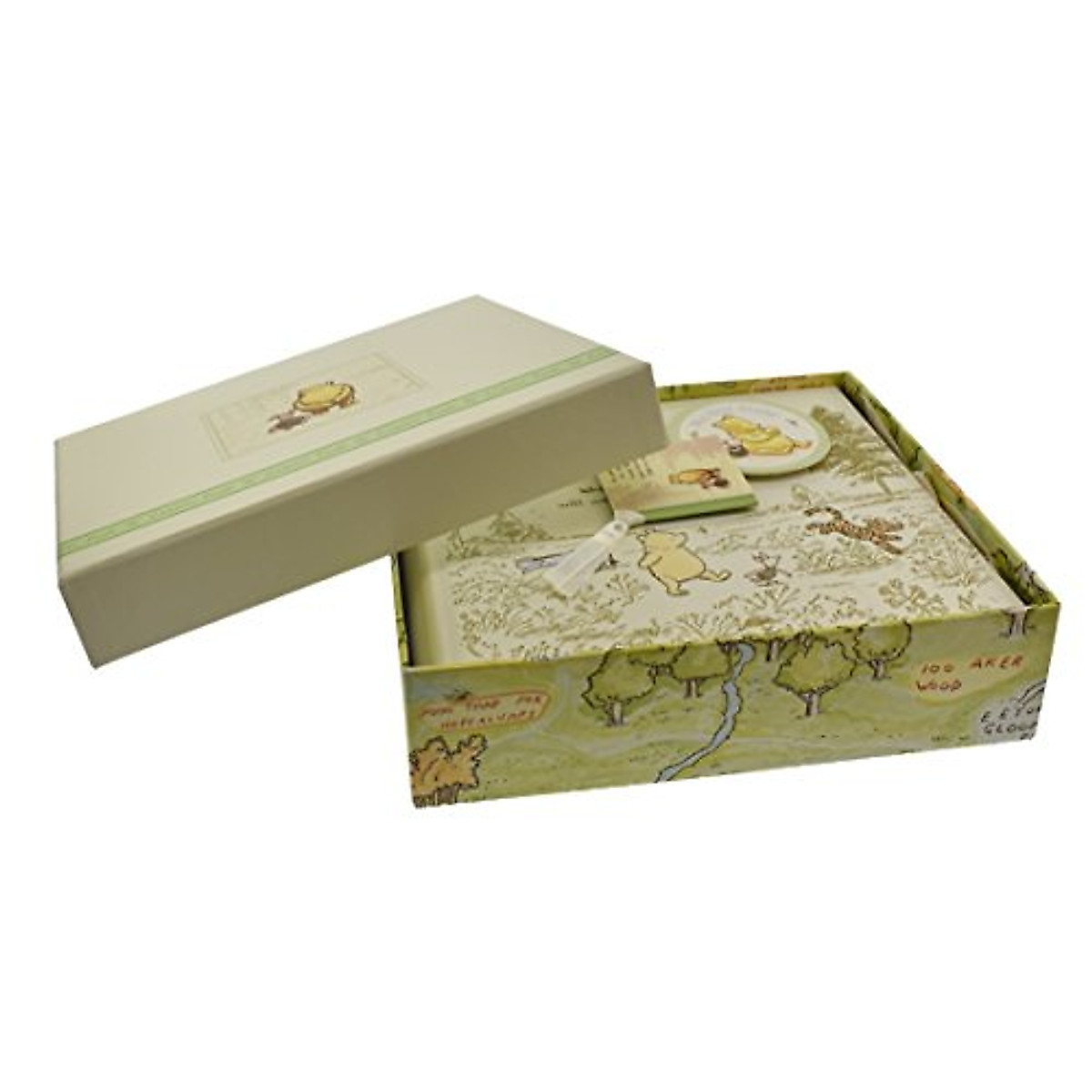 Disney Magical Beginnings Classic Pooh My First Photos Baby Album for 6 x 4 Photographs New (DI165), 200 g WBM-GFT45