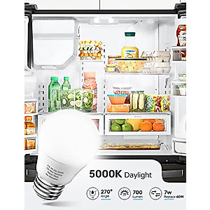 KINDEEP A15 Refrigerator LED Bulbs 60 Watt Equivalent, 7W Light Bulb Daylight White 5000K, 700LM for Appliance Fridge Light Bulb, Ceiling Fan, Waterproof, Non-Dim, E26 Base, 2 Pack