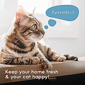 Litter Genie Plus Pail, Ultimate Cat Litter Disposal System, Locks Away odors, Includes One Refill, Black,Small