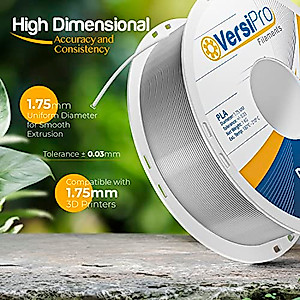 PLA 3D Printer Filament | Silver PLA Filament 1.75mm | 1KG Spool (2.2lbs) - Fits Most FDM Printers | Dimensional Accuracy +/- 0.03 mm | 3D Printing Filament 1.75 Will Not Warp, Clog or Break