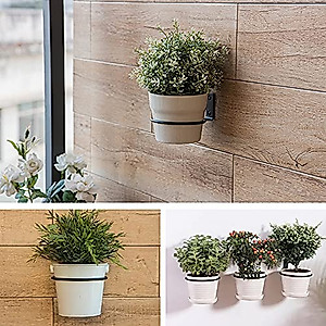 Plant Holder Ring 6 Inch Wall Mounted, 6 Pack Flower Pot Hangers Metal Plant Stand Hanging Bracket Basket Hooks