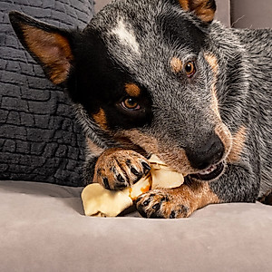 Pet Factory Twistedz American Beefhide 4-5" Knotted Bones Dog Chew Treats w/ Real Chicken Meat Wrap - 3 Count/1 Pack