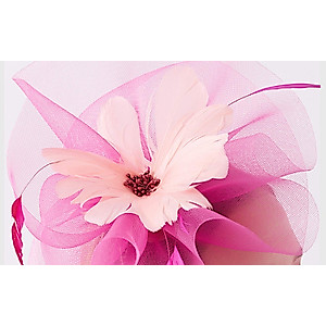 Oridoor Women Organza Fascinator Church Kentucky Derby Hat Floral Tea Party Wedding Hat Rose, 003C Rose And Pink