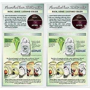 Garnier Hair Color Nutrisse Nourishing Creme, 362 Darkest Berry Burgundy (Raspberry Jam) Red Permanent Hair Dye, 2 Count (Packaging May Vary)