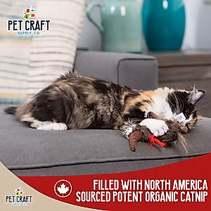 Pet Craft Supply Co. Kitty Condor Crazy Catnip Cuddler Funny Cuddling Chasing Hunting Irresistible Stimulating Soft Plush Boredom Relief Interactive Cat Toy with Realistic Feathers, All Breed Sizes
