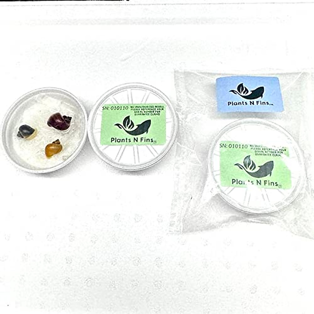 Mystery Snails (3 Pack) Assorted + Food Sample | Live Arrival Guarantee Freshwater Live Aquarium Snails (Assorted)