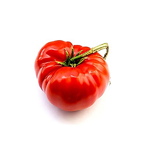"The Delicious Giant" Beefsteak Tomato Seeds for Planting, 50+ Heirloom Seeds Per Packet, Non GMO Seeds, Botanical Name: Solanum lycopersicum, Can Grow to 1 Pound! Great Gift