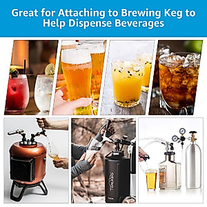 MRbrew 2 Pair Ball Lock Keg Post, Stainless 304 Homebrew 19/32’’-18 Co2 Gas kegerator Beer Liquid Cornelius Corny Poppet Spring Spare Sealing O-ring Keg Posts Kit for Brewing Quick Disconnect Fitting