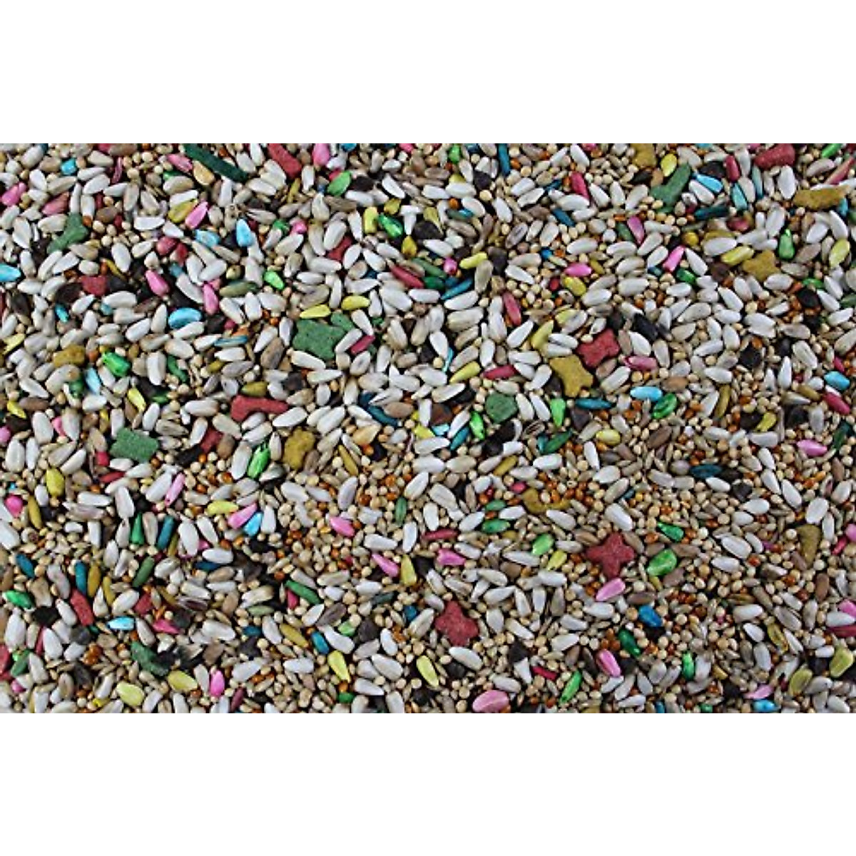 L Avian Plus Cockatiel Bird Food No Sunflower Mix, 5 lbs