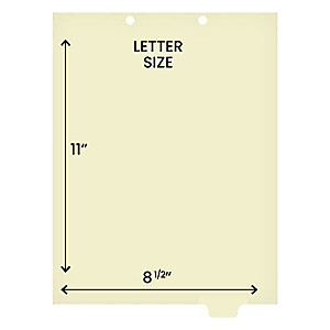 Individual Chart Divider Sheets Used to Build Chart Divider Sets for Medical Practices, 1/6th Cut, Tabs on Bottom, Position: #6, Blank (Pack of 100)