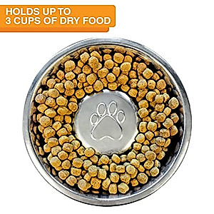 Neater Pet Brands Stainless Steel Slow Feed Bowl (3 Cup) - Fits in Large Neater Feeders and Most 2 Quart Feeders