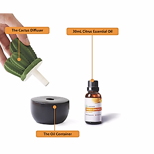 Auxo Gardens Cactus Ceramic Essential Oil Diffuser for Aromatherapy, for Birthday, housing Warming, Holidays, Cute Decoration for Desk and Rooms (Blue Candle)