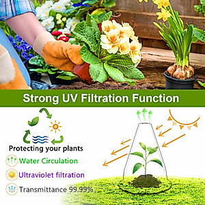 【12 Pieces】 Garden Cloches for Plants, Plant Covers Plant Protectors Transparent Bell Jar Cloches to Protect Plants from Birds, Slugs, Frost, Freeze Weather, 7.8" D x 9.4" H, Transparent