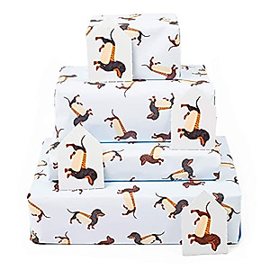 CENTRAL 23 Dog Wrapping Paper - 6 Sheets of Dog Gift Wrap - Dachshund - Sausage Dogs - Pets - Doggo - Blue Wrapping Paper For Women Men Girls Boys - Comes With Fun Stickers Recyclable