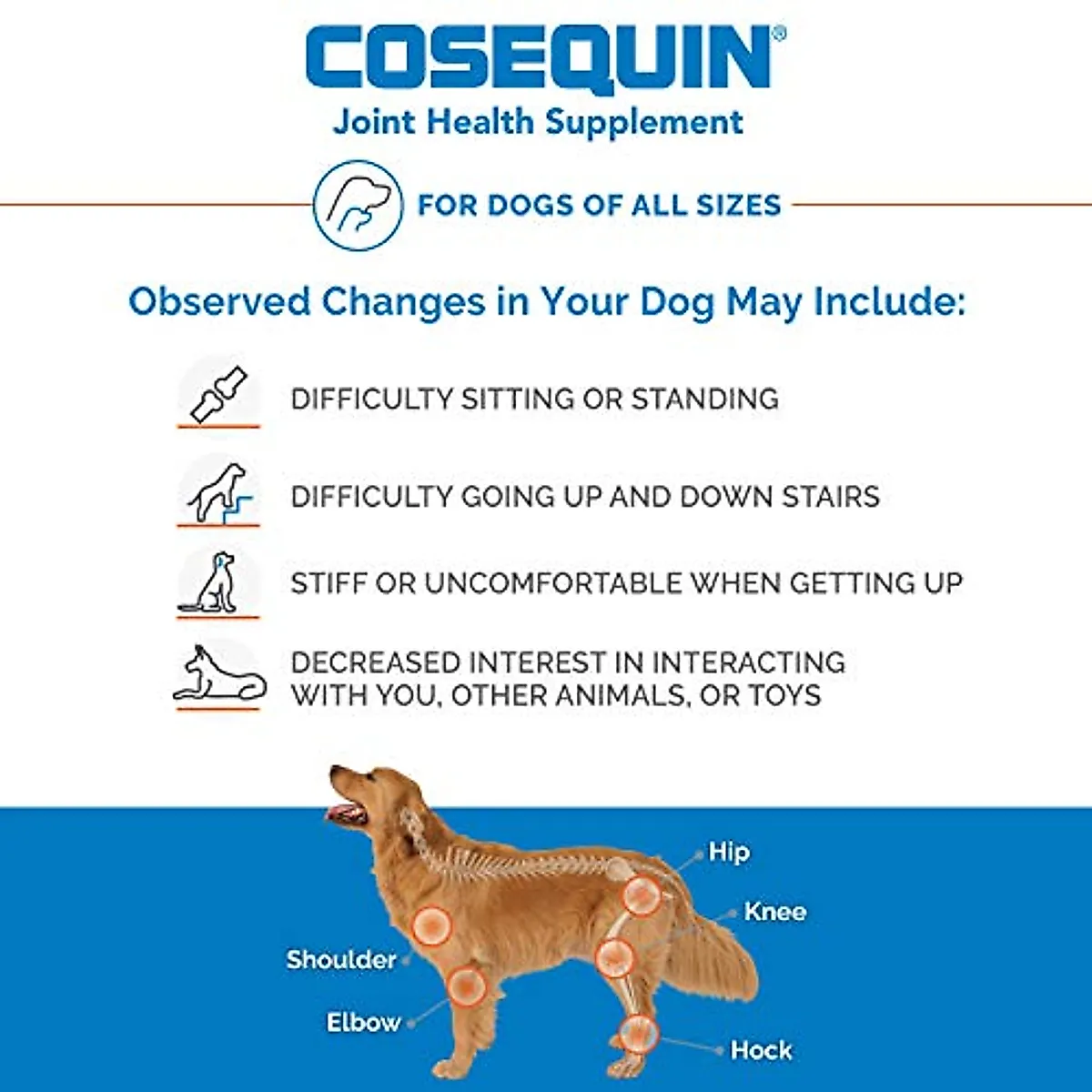 Nutramax Cosequin Joint Health Supplement for Dogs - With Glucosamine, Chondroitin, MSM, and Omega-3's, 60 Soft Chews