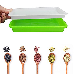 QHC KOCK 6-Pack Seed Sprouter Tray BPA Free PP Soil-Free Big Capacity Healthy Wheatgrass Grower Sprouting Container Kit Wheatgrass Cat Grass Seedling Planting Storaging Trays for Garden Home Office