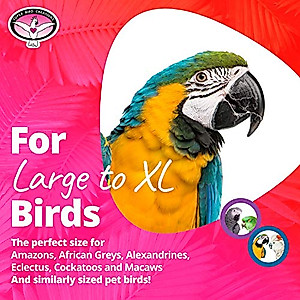 Super Bird Creations SB326 Colorful Cotton Bungee Rope Bird Toy, Large/XL Bird Size, 1.25” Diameter x 97”,Varies