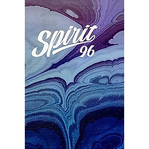 Nitro Spirit Youth Snowboard (17154)