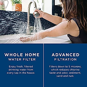 GE FXWSC Water Filter, 1 Count (Pack of 1), White