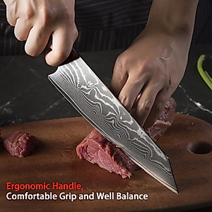 EANINNO Damascus Chef Knife 8 Inch Japanese Kitchen Knife, Sharp Professional Chefs Knife 67 Layers High Carbon Damascus Stainless Steel Vg10 Cutting Knife