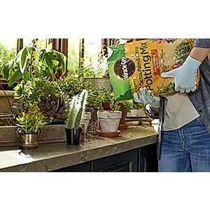 Miracle-Gro Cactus, Palm & Citrus Potting Mix, 8 qt.
